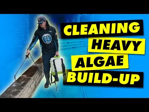 How to Remove Algae off Stone | Video